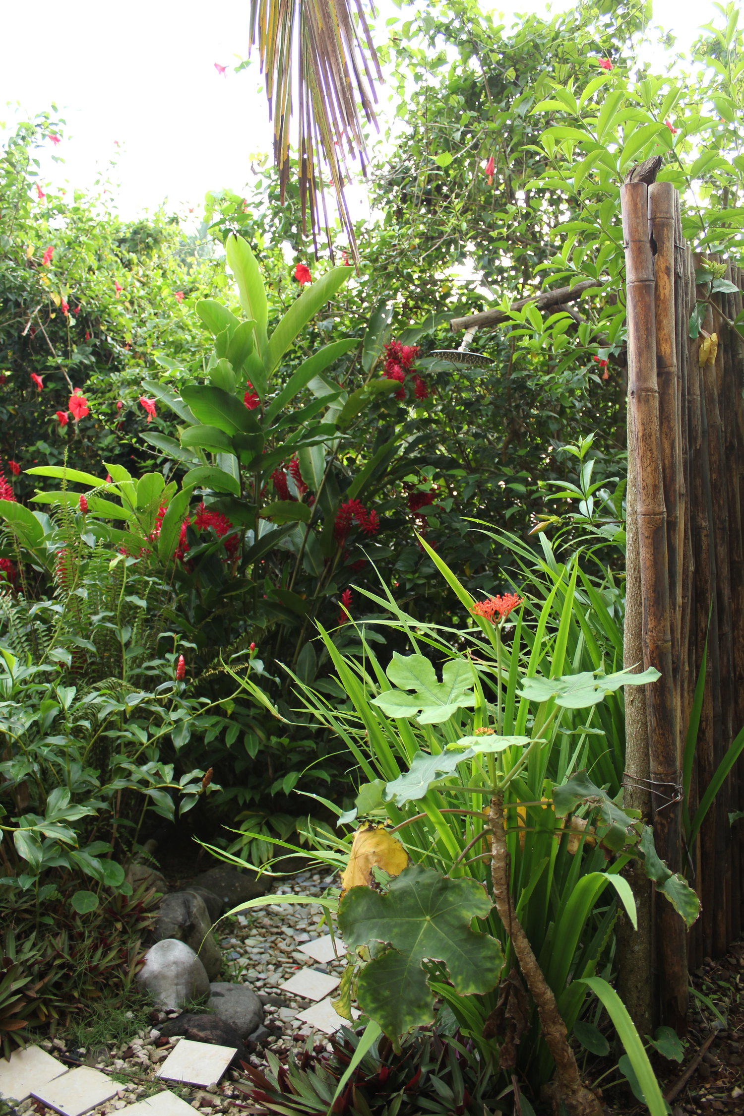 Guide to Vacationing in Cost Rica